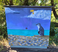 Final Chorus cabinet artworks 2025 | Tasman District Council
